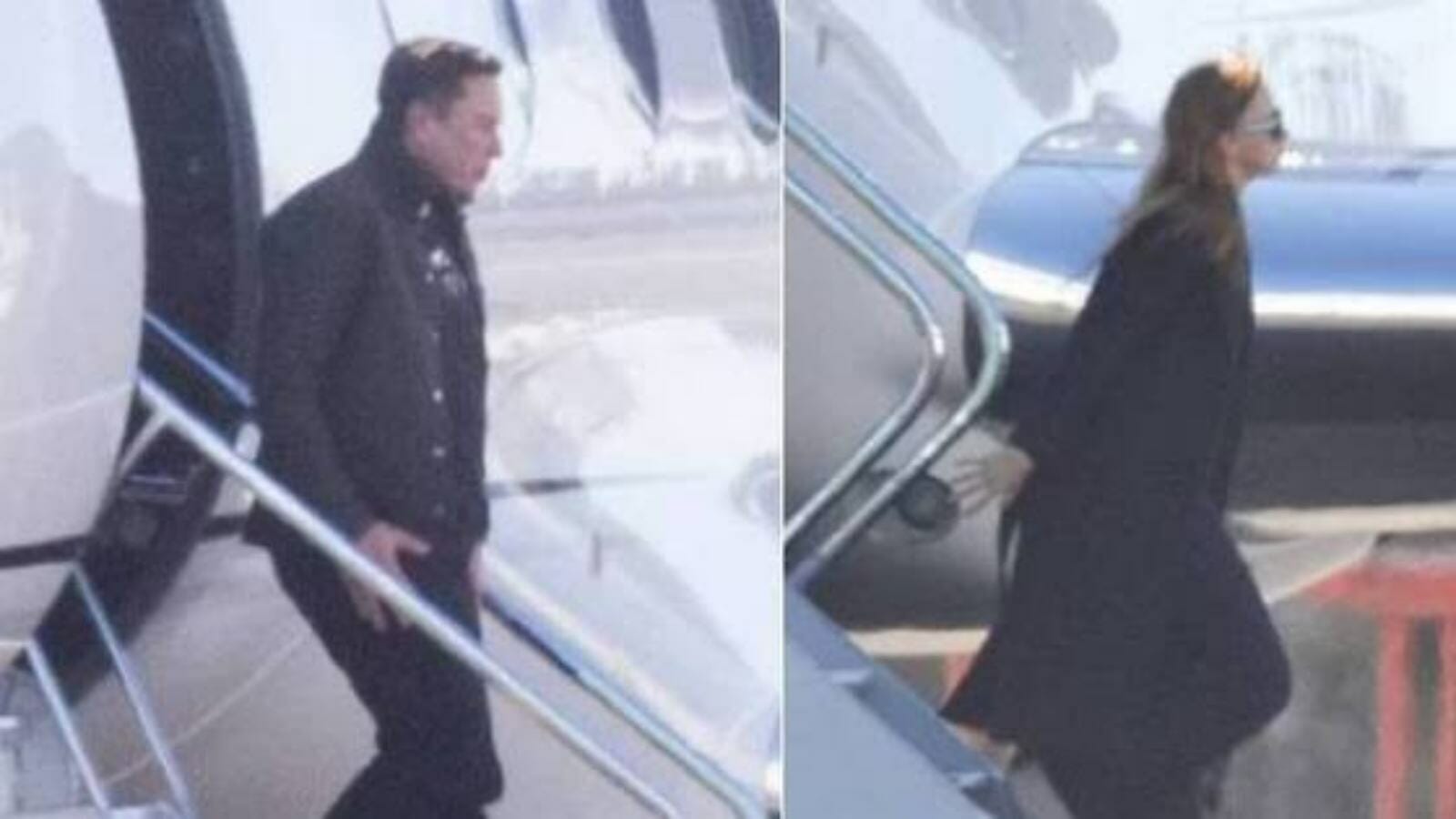 Who Is Natasha Bassett, Tesla Boss Elon Musk's Girlfriend?