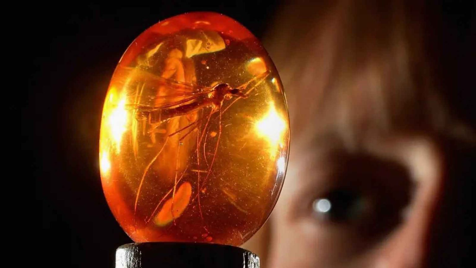 Can We Recreate Dinosaurs With DNA Like 'Jurassic Park'? How Will It ...