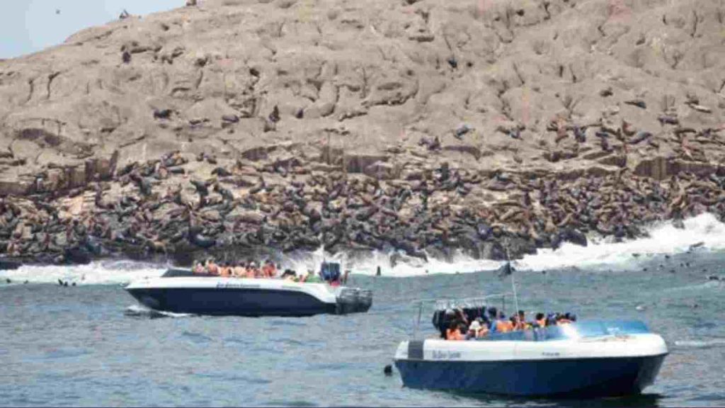 If An American Finds A "Bird Poop Covered" Island, He Can Claim It And ...