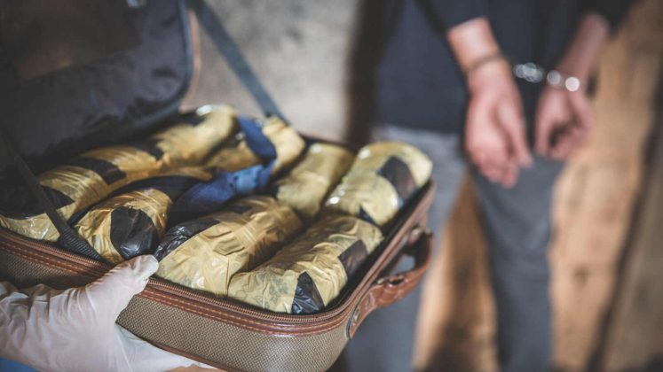 Top 10 Most Smuggled Things In The World