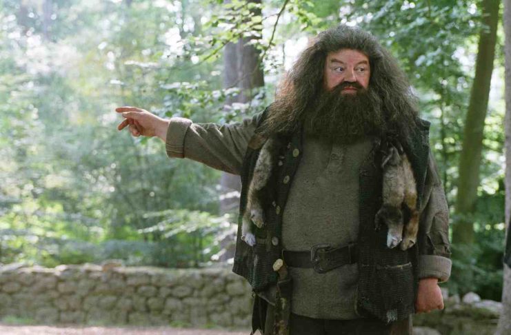How Did Hagrid Look So Big In ‘Harry Potter’?