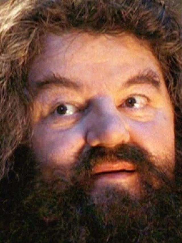 Robbie Coltrane's Best Moments As Hagrid