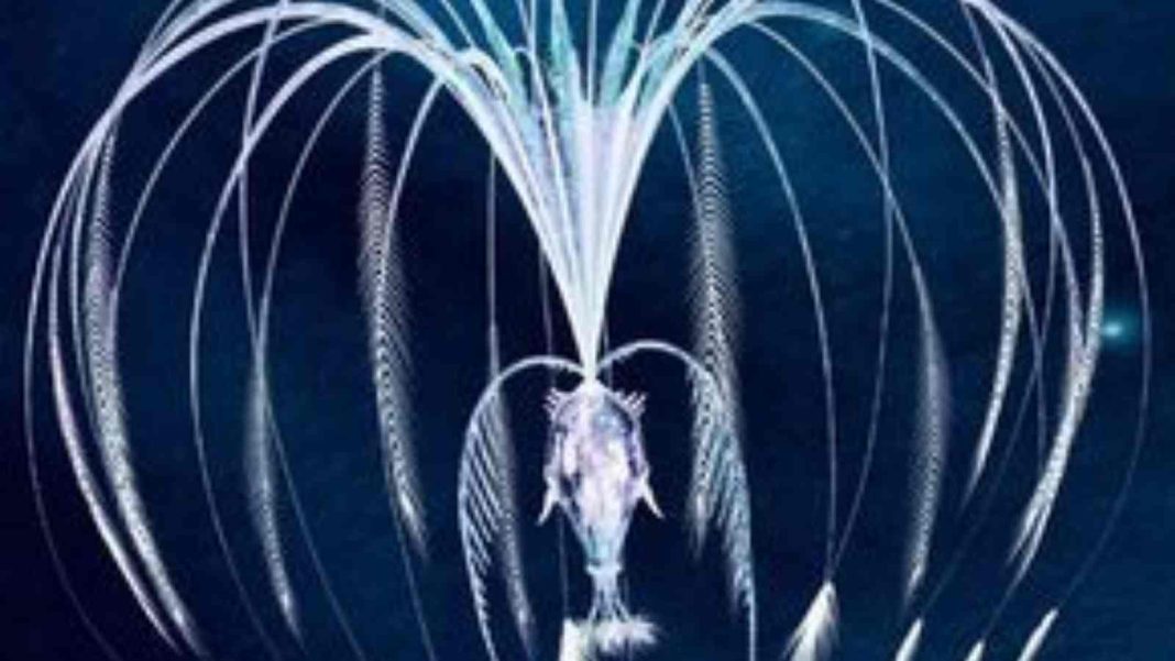 10 Pandora Creatures In James Cameron's 'Avatar' Universe