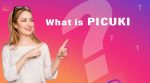 What Is Picuki For Instagram? Is It Safe And How To Use It?