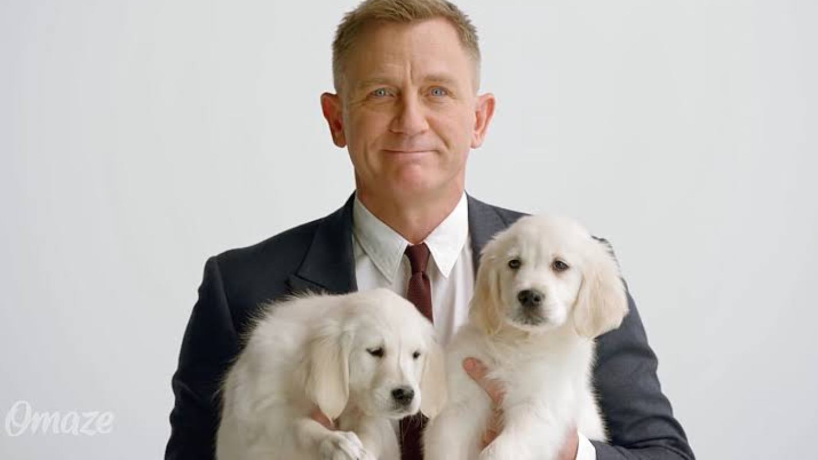 Daniel Craig Net Worth, Career, Wife, Endorsement, Charity, House And More