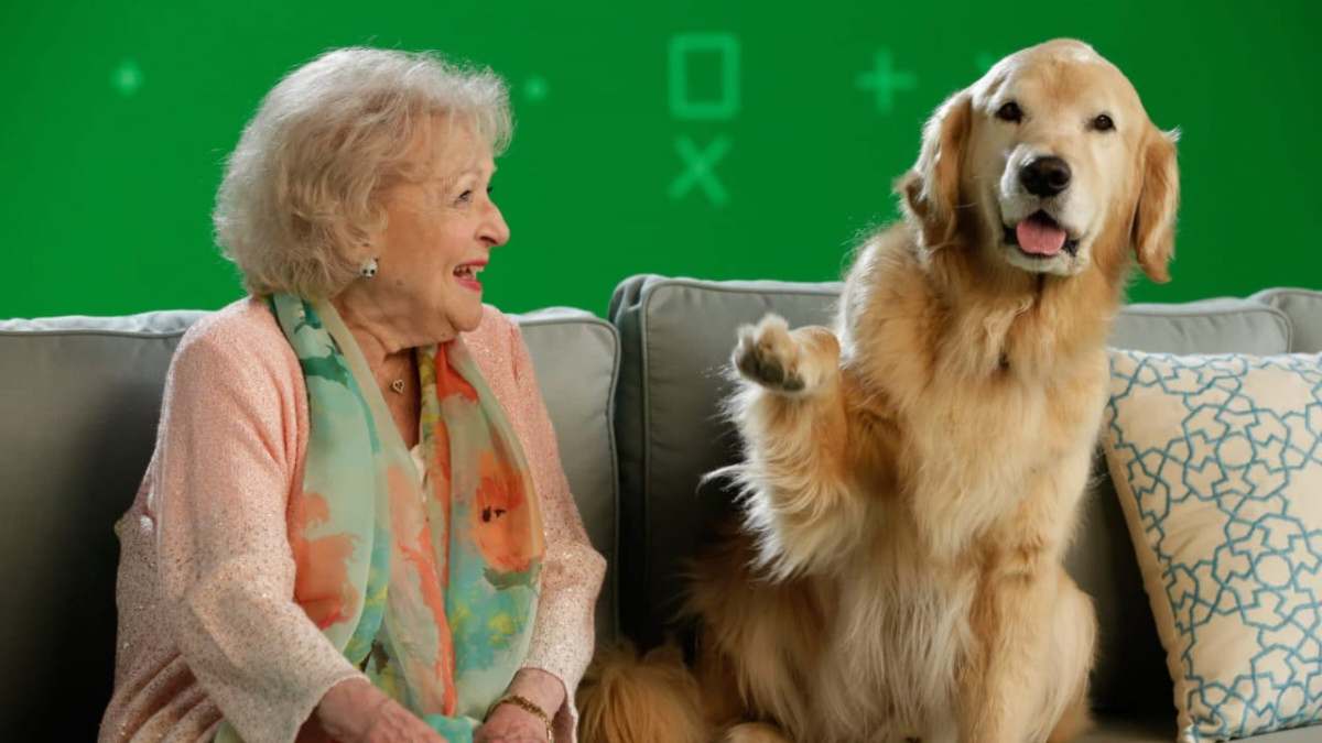 Top 10 Richest Pets And Their Net Worth