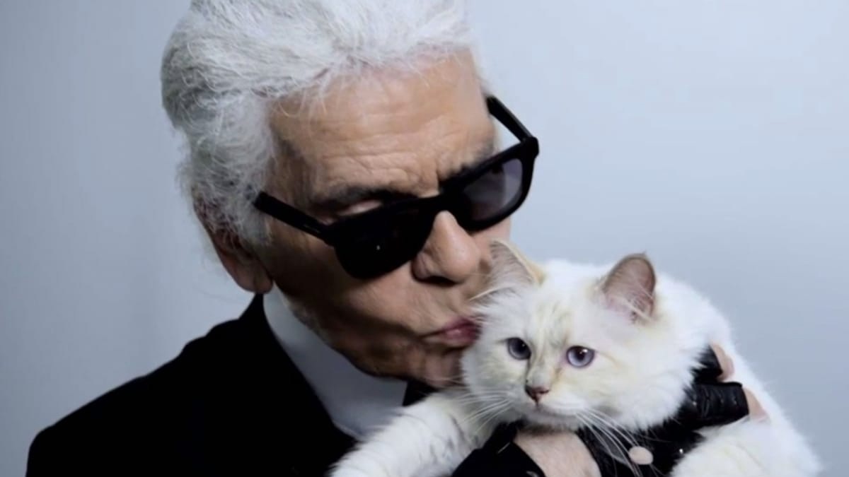Top 10 Richest Pets And Their Net Worth