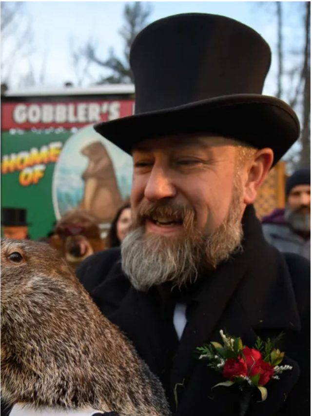Groundhog Day: History Of The Bizarre Holiday - First Curiosity
