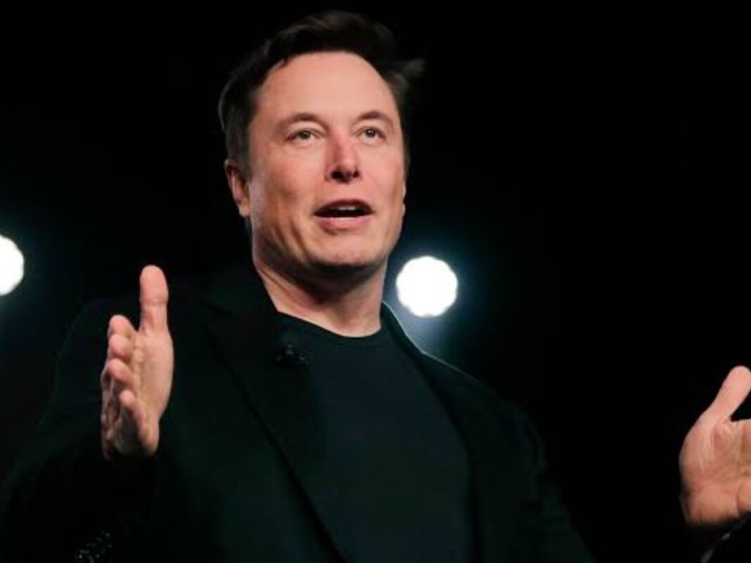 What Was Elon Musk's First Business Venture?