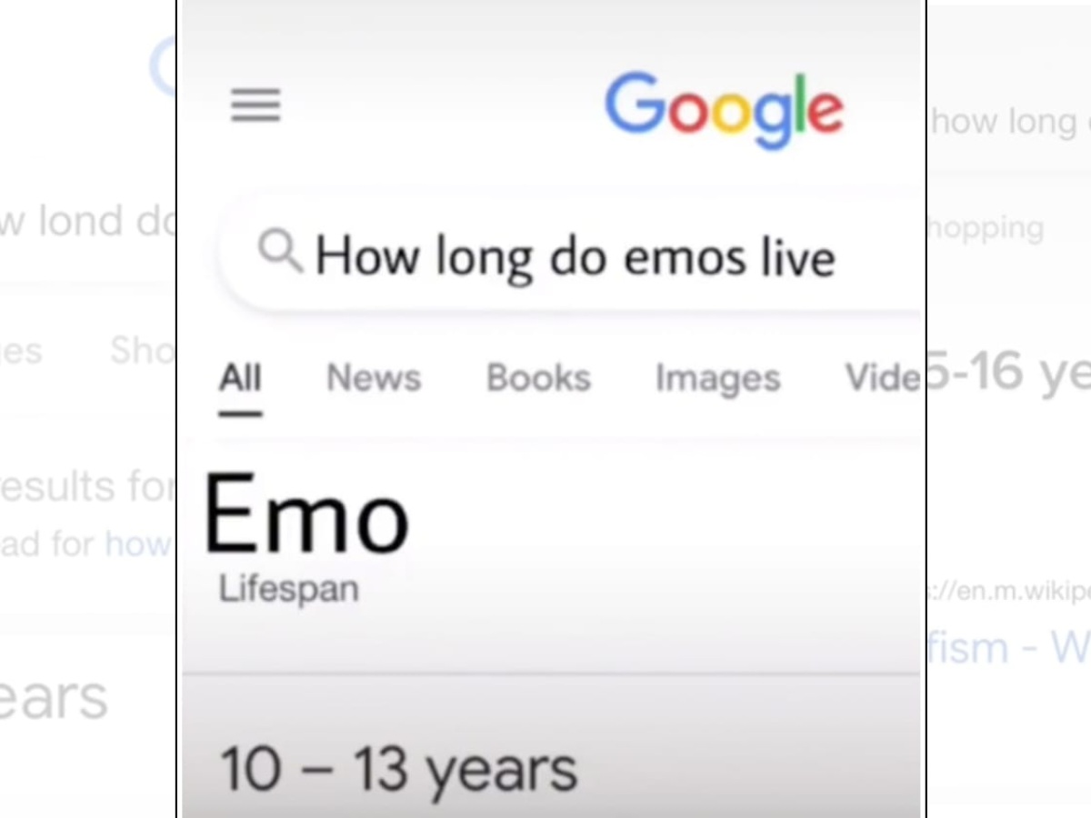 How Long Do Emos Live