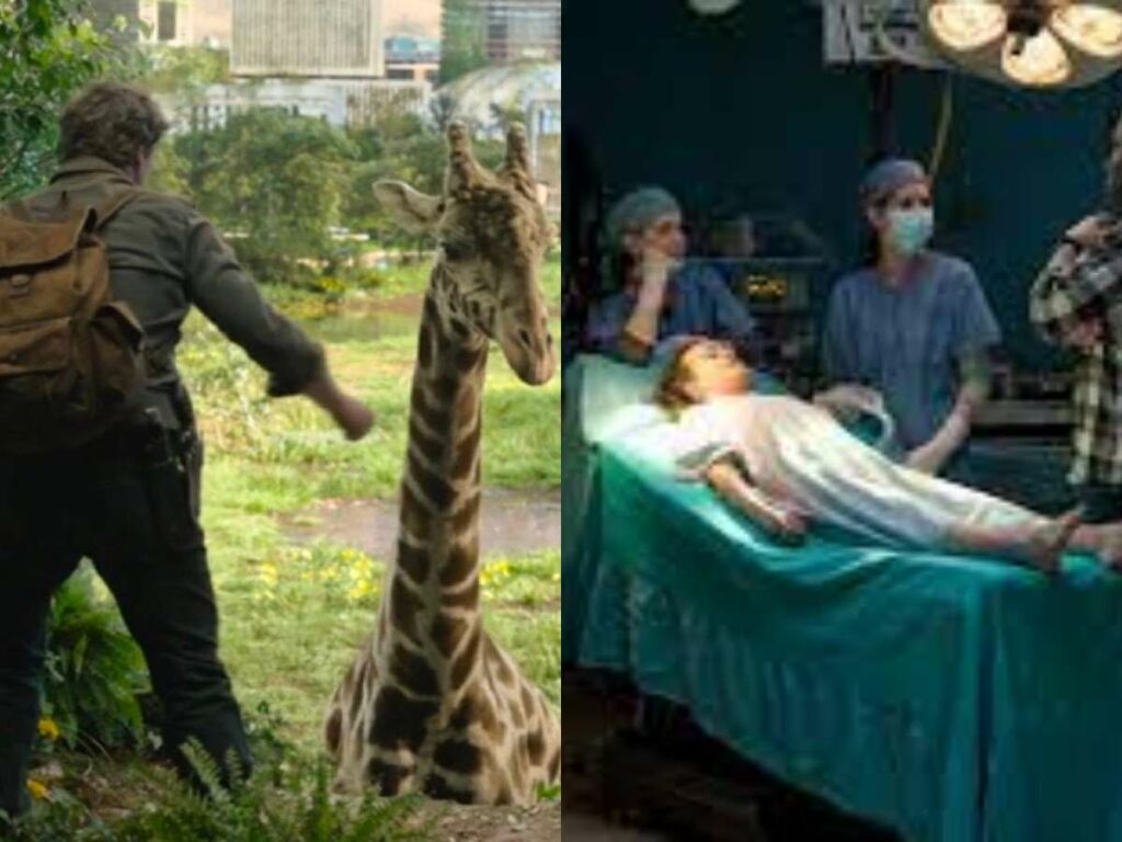 'The Last Of Us': Trained Giraffes And An Abandoned Hospital Were Used ...