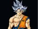 What Is Goku’s Final Form In 'Dragon Ball'?