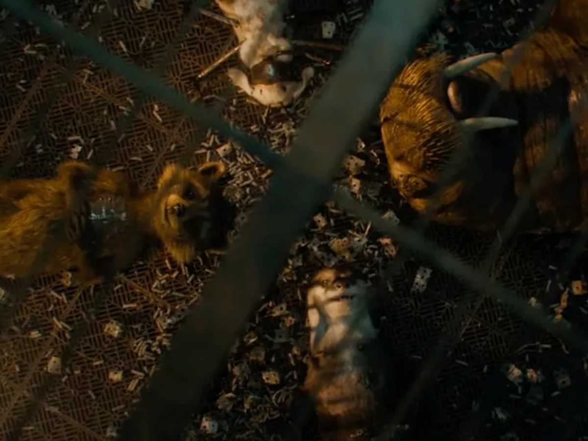 Why PETA Announced 'Guardians Of The Galaxy Vol. 3' As The Best Animal ...