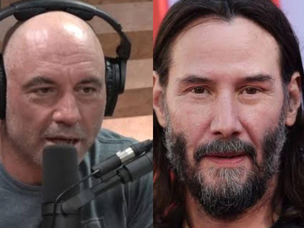 "That Is Johnny Depp, Tom Cruise Level Fame": Joe Rogan Is Awestruck ...