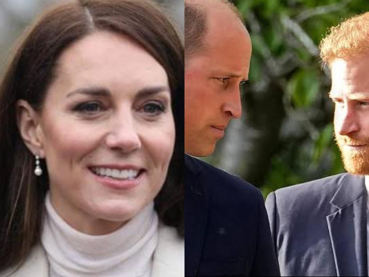 Is Kate Middleton Behind Removing A Double Portrait Of Prince Harry And ...