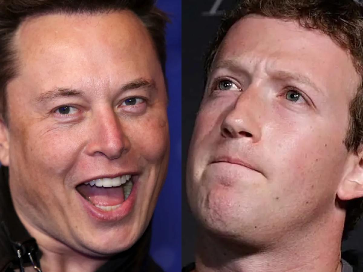 "Zuck Left The Country Already": Netizens Are Cheering Elon Musk After ...