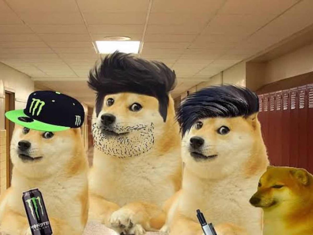 Viral Meme Dog Cheems Balltze Passes Away: How Did He Get Famous?