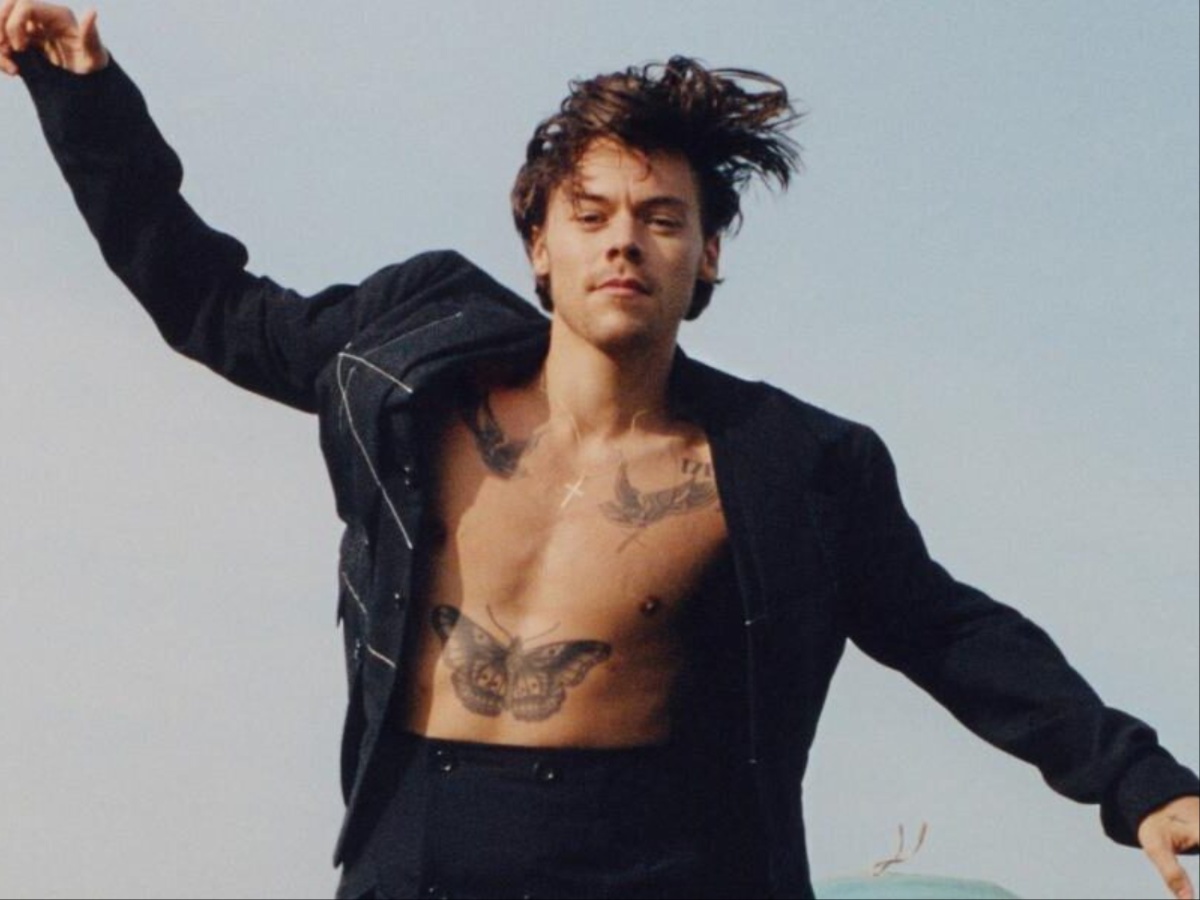 Does Harry Styles Really Have Four Nipples? Does Harry Styles Really Have Four Nipples?