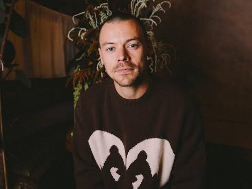 Harry Styles Debuts His Shaved Head Look On Instagram With New ...
