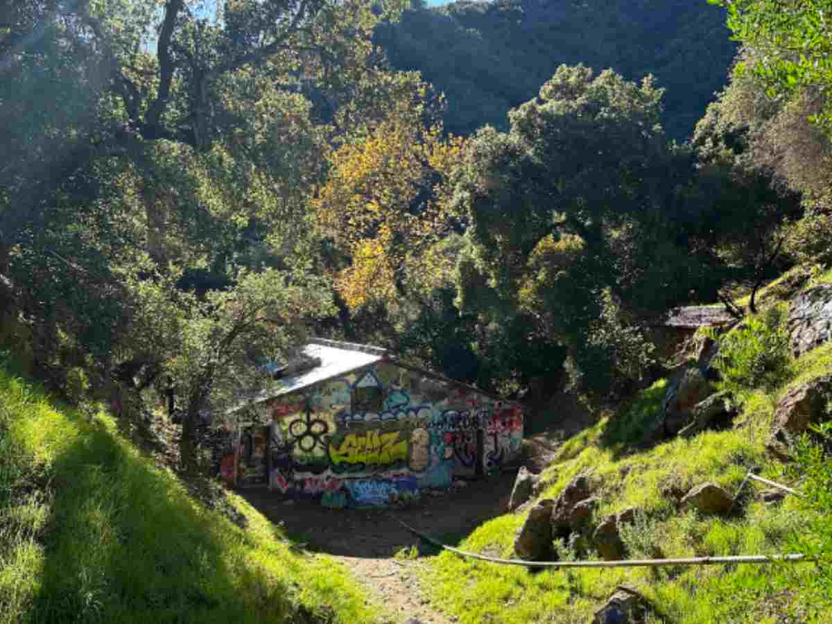 CBS Airs Super Bowl Commercial For Controversial TV Show 'Fire Country ...