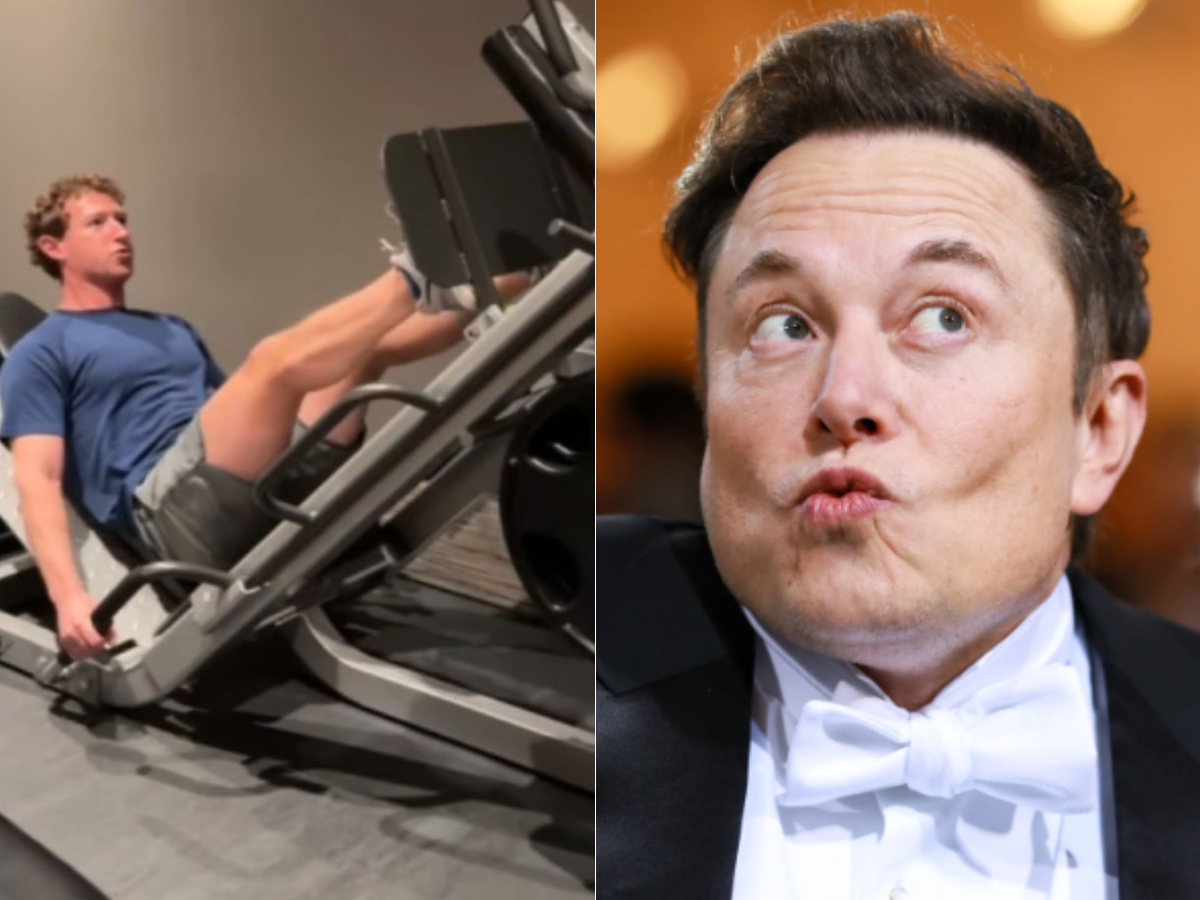 "I'll Compete With Real Fighters": Mark Zuckerberg Taunts Rival Elon ...