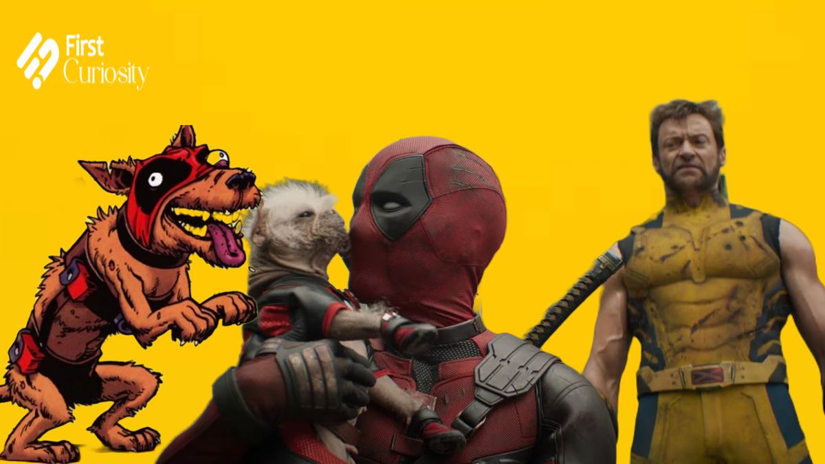 10 Things You Missed In 'Deadpool And Wolverine' Trailer