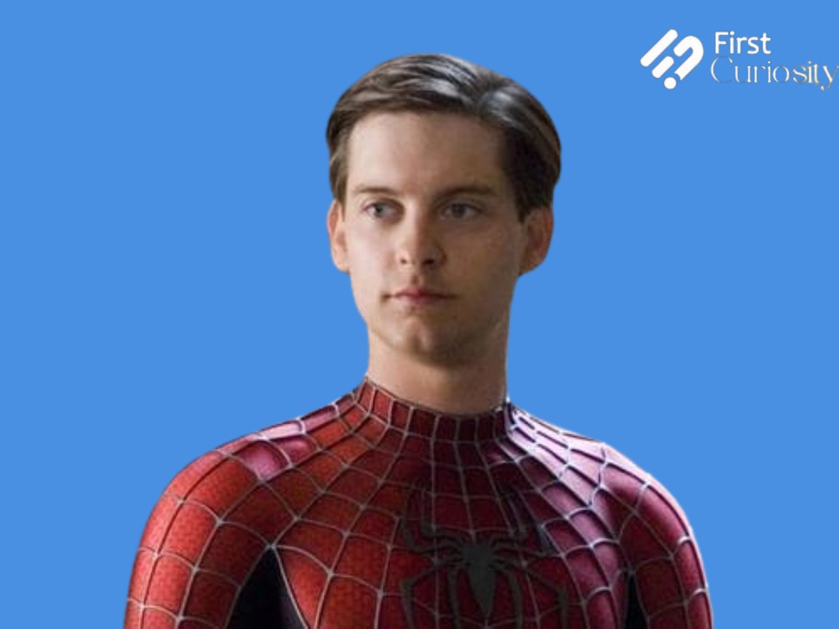 Top 10 Spider-Man Movies According To Fans