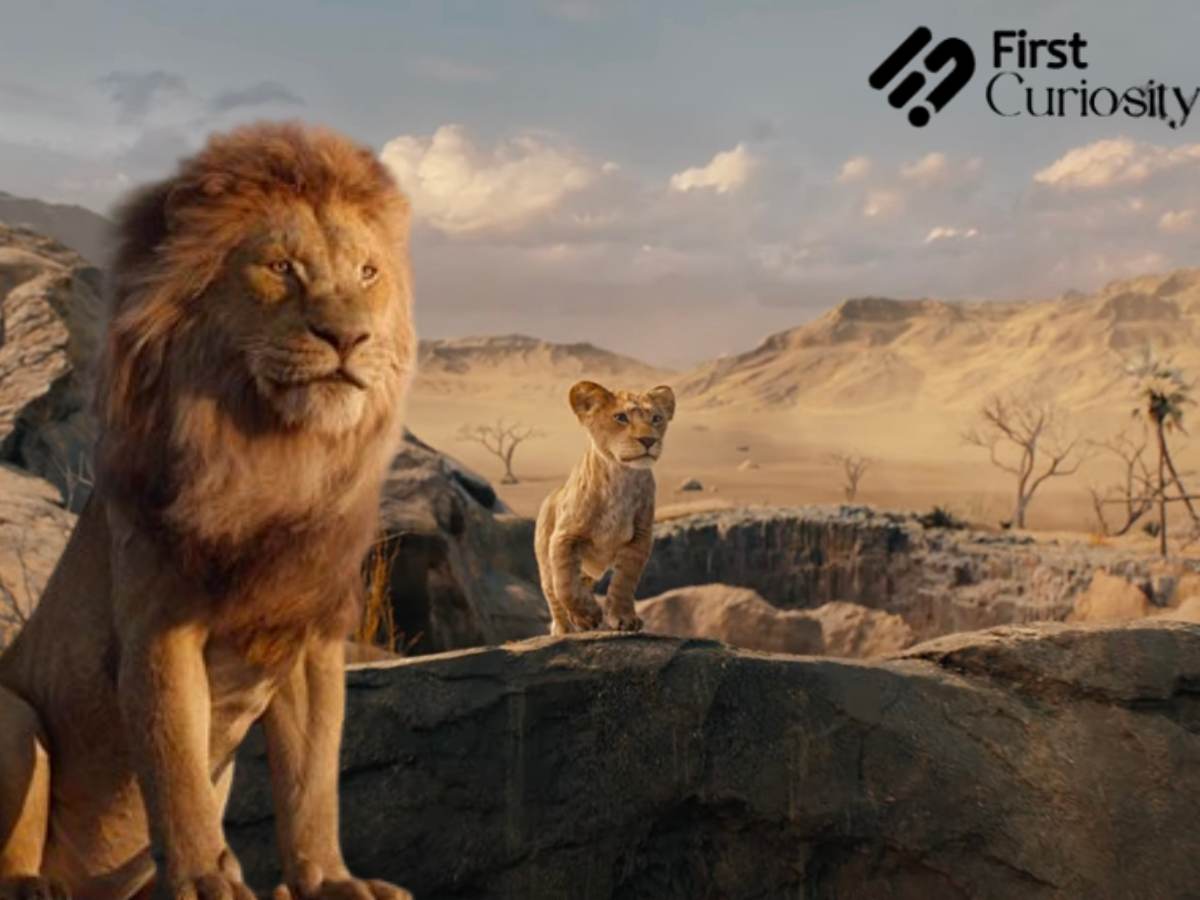 'Mufasa: The Lion King': The Story Of Real Lion King Mufasa “Born ...