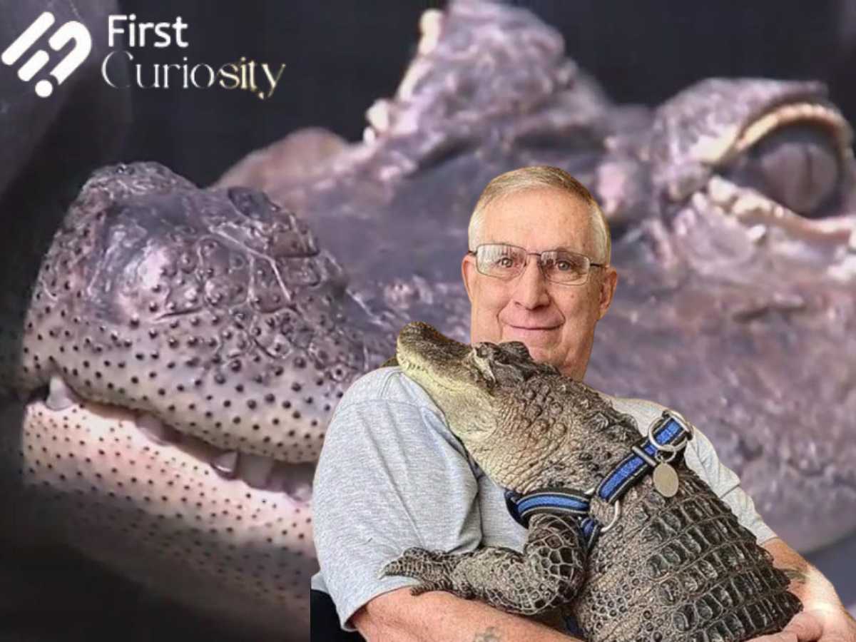 'Loki' Season 1's Alligator Loki Reported Missing In Weird Kidnapping Case