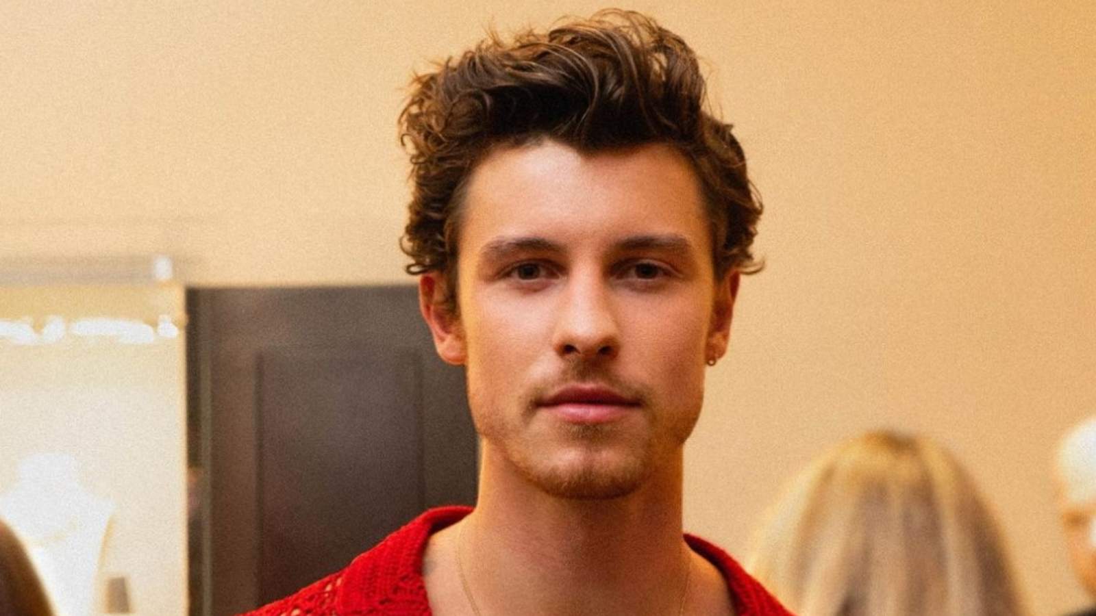Shawn Mendes Seemingly Hints At Almost Becoming A Father To Ex ...