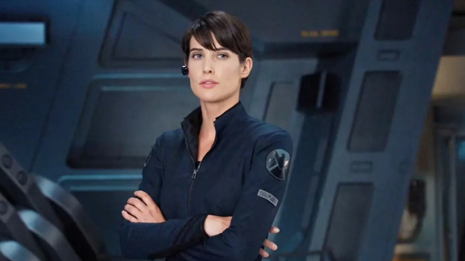 "I Would Love To Go Back": Cobie Smulders Talks About Returning To The ...