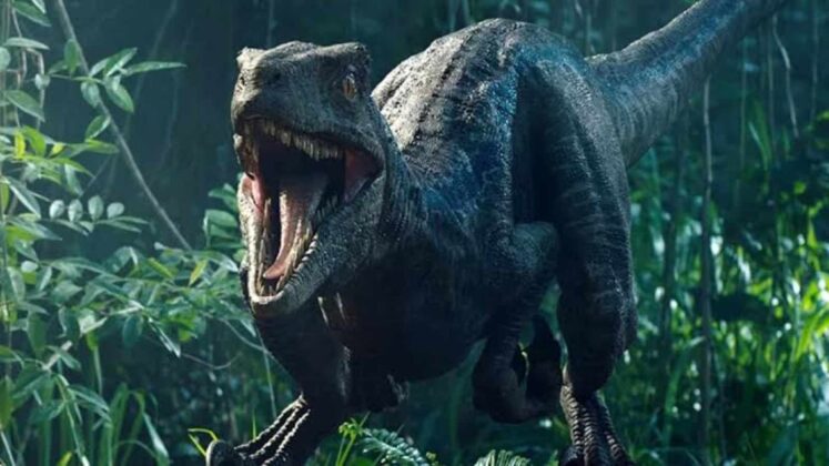 ‘Jurassic World Rebirth’ Plot And Characters Explained