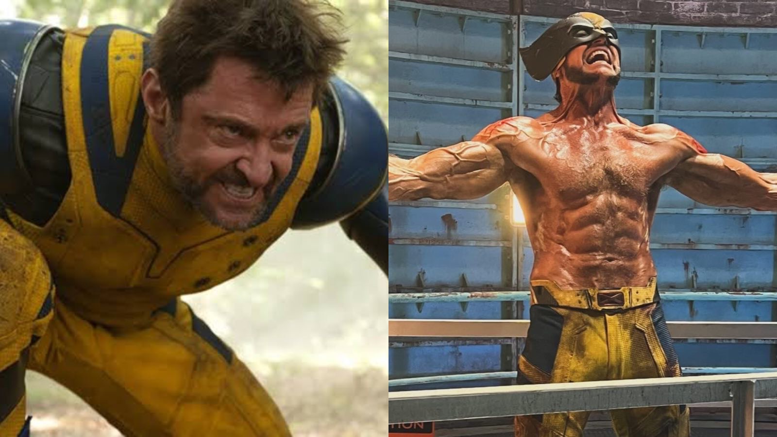 "Fresh Lube!": Hugh Jackman Reveals The Secret Behind His Glistening ...