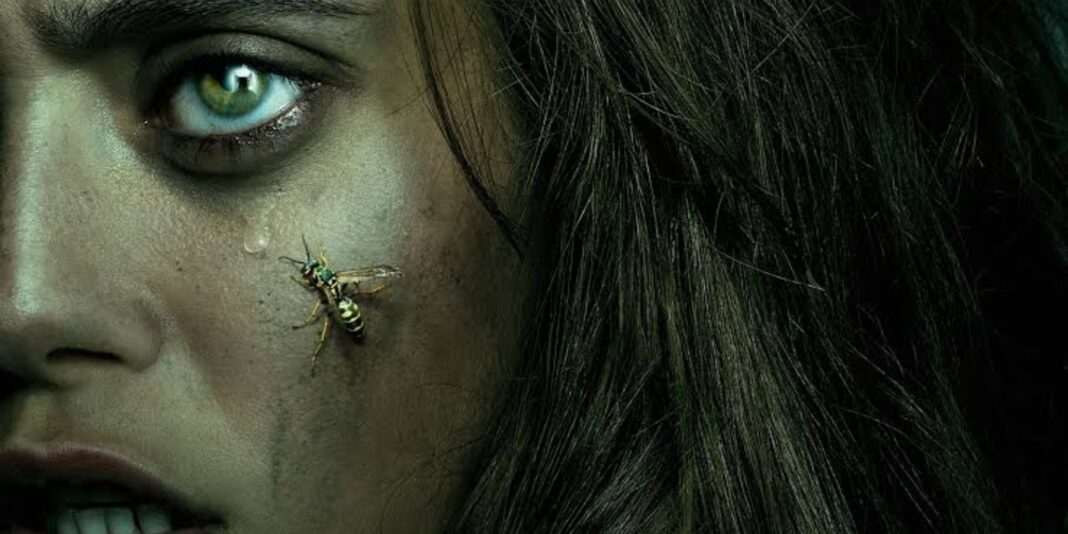 20 Best TV Shows And Movies Based On Plane Crash And Survival Drama