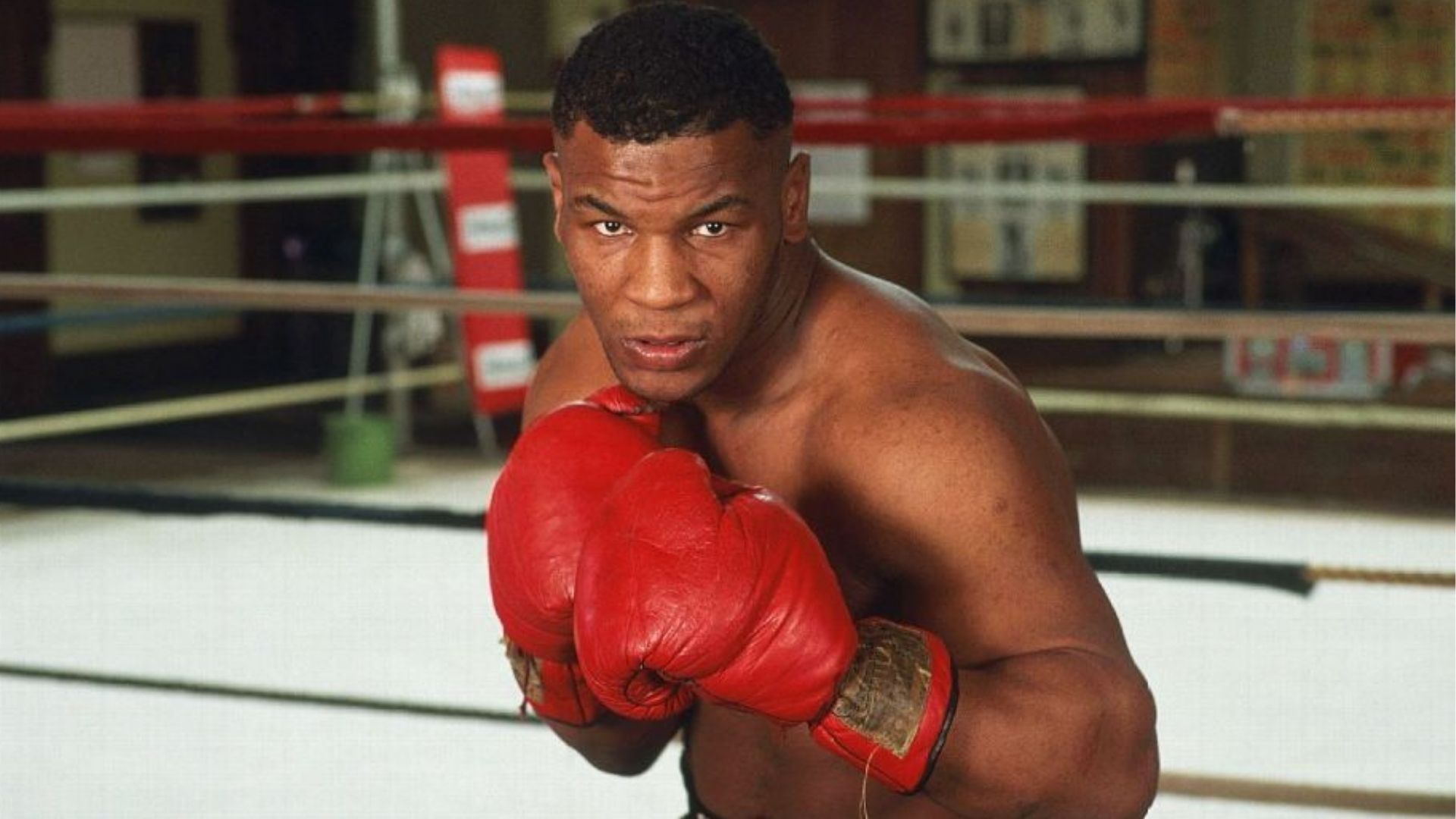 Celebrities With Surprising Artistic Hobbies - FirstCuriosity