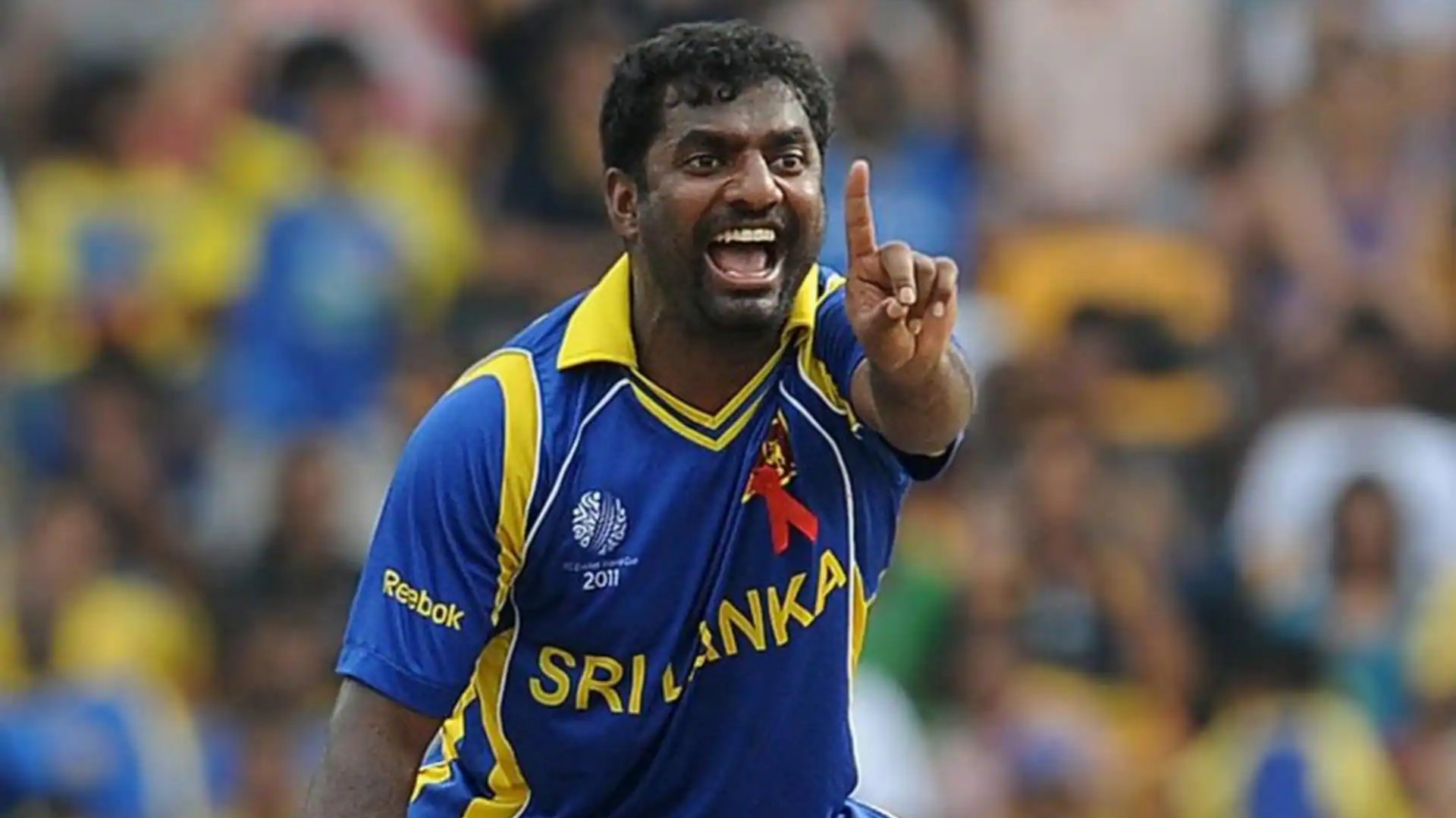 25 Best ODI Bowlers in Cricket History (As Per ICC Ratings ...