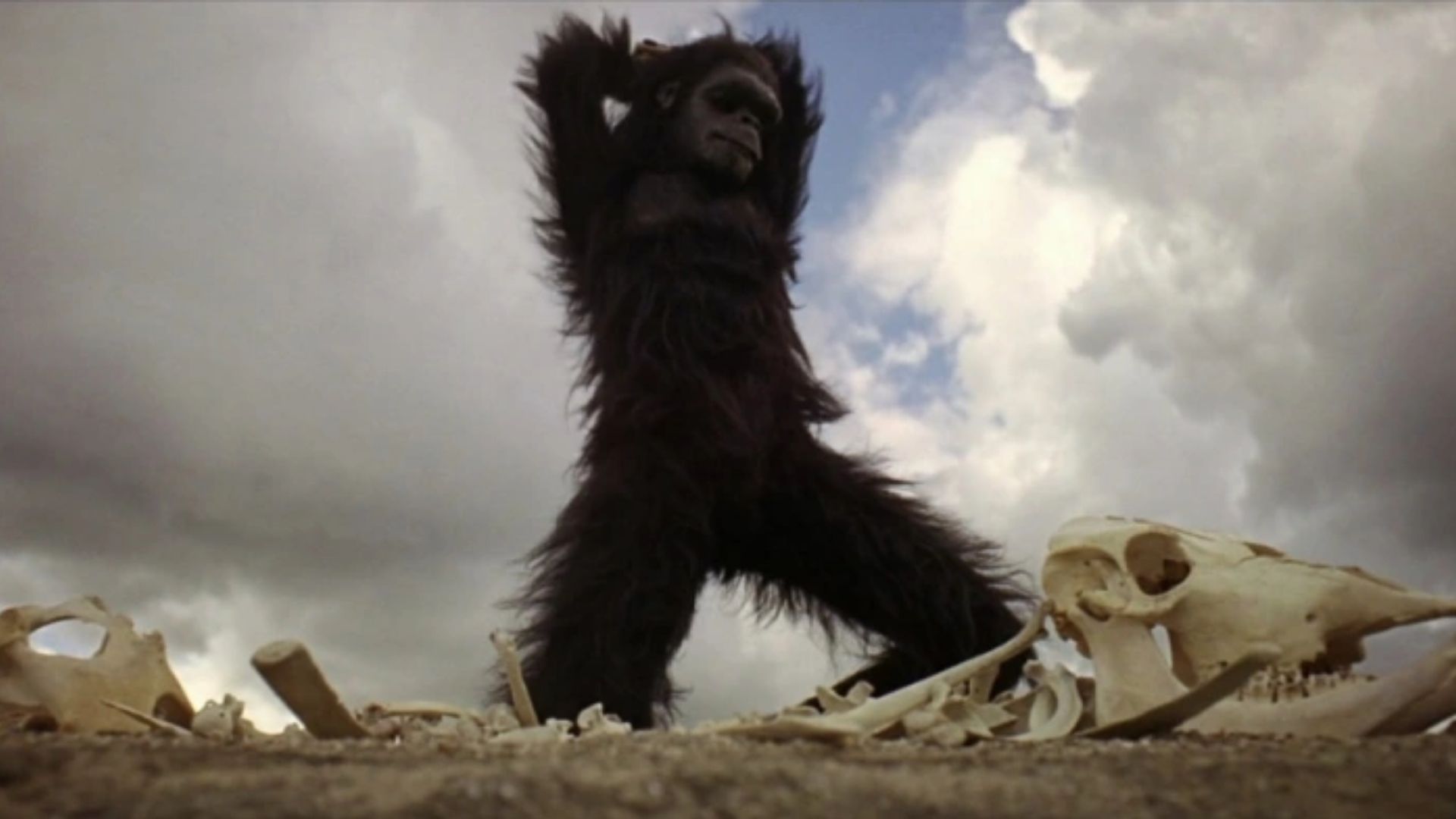 Top 25 Best Alien Movies, Ranked - FirstCuriosity