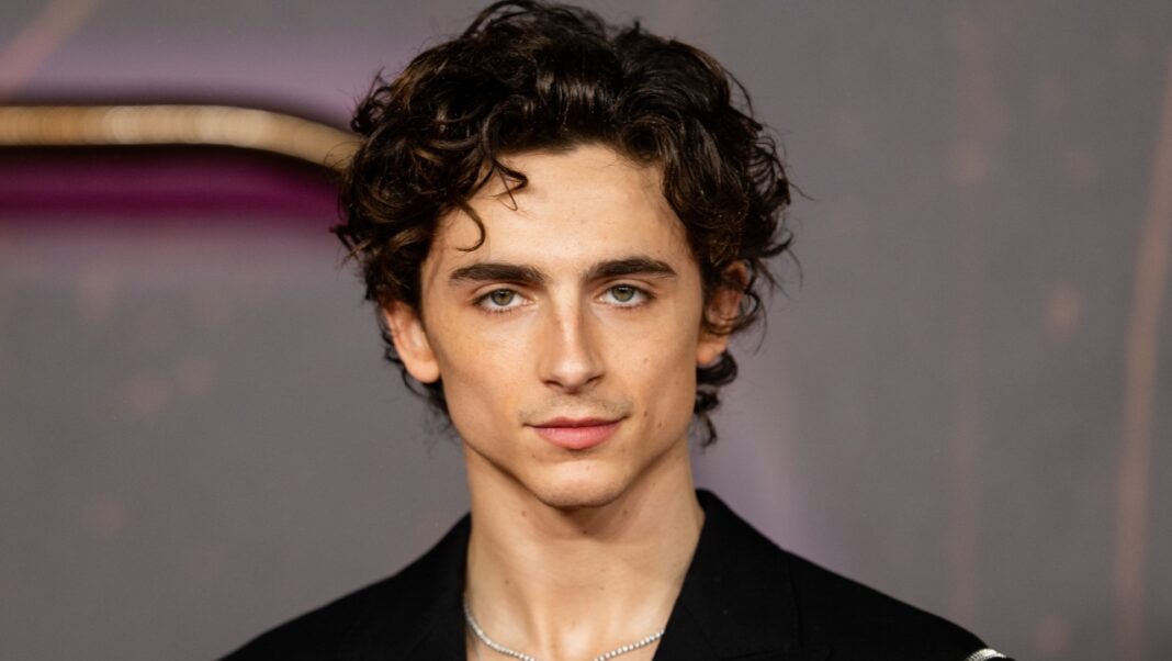 "We Made You": 'Homeland' Icons Playfully Take Credit For Timothée ...