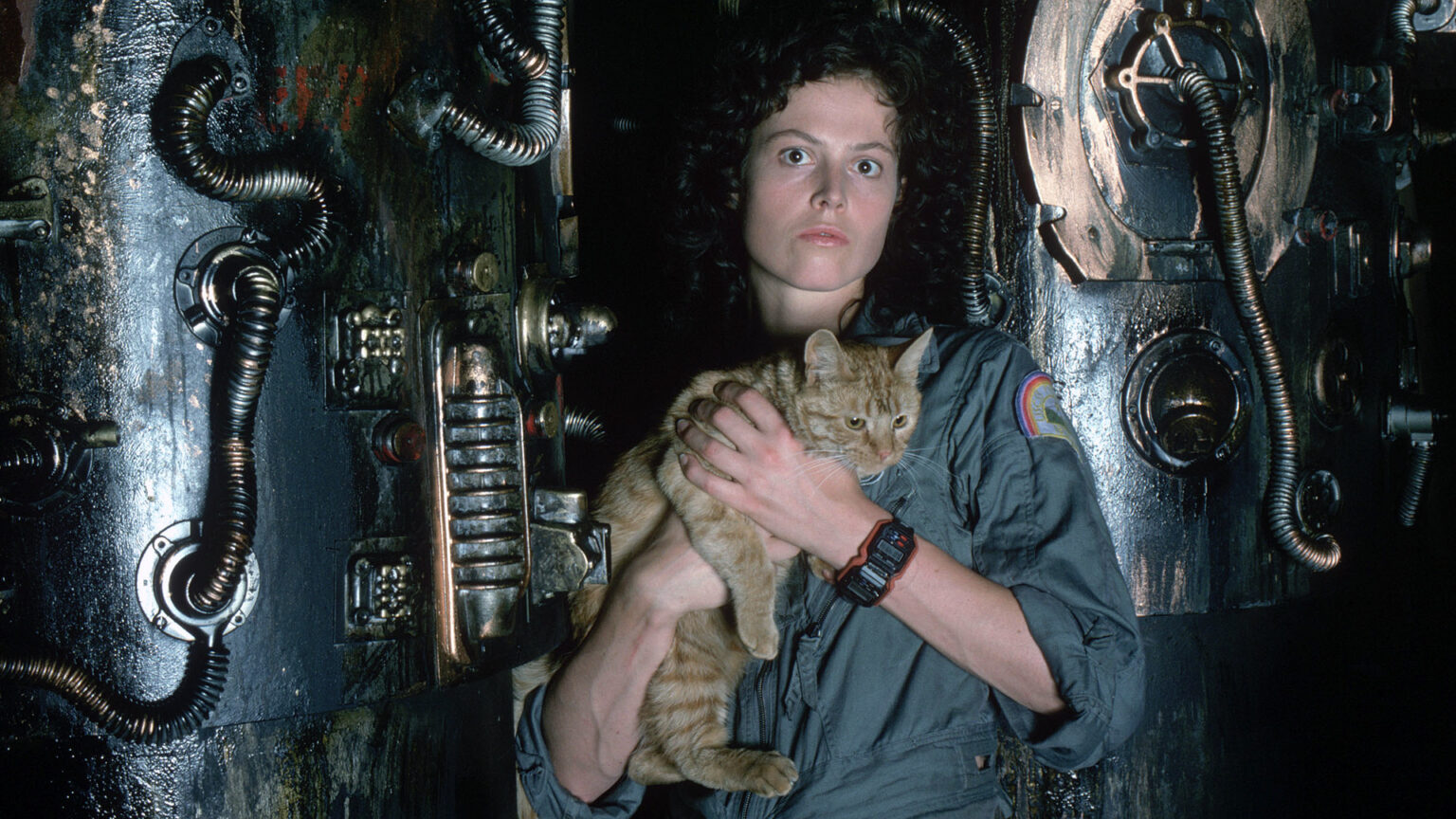 Top 10 1970s Films That Quietly Changed the Way We Experience Cinema ...