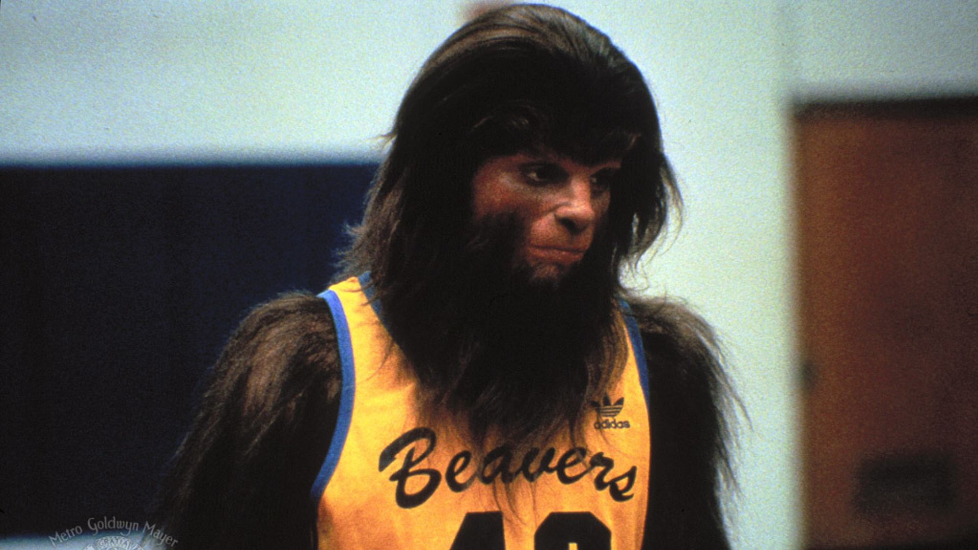 10 Essential Werewolf Movies, Ranked - FirstCuriosity