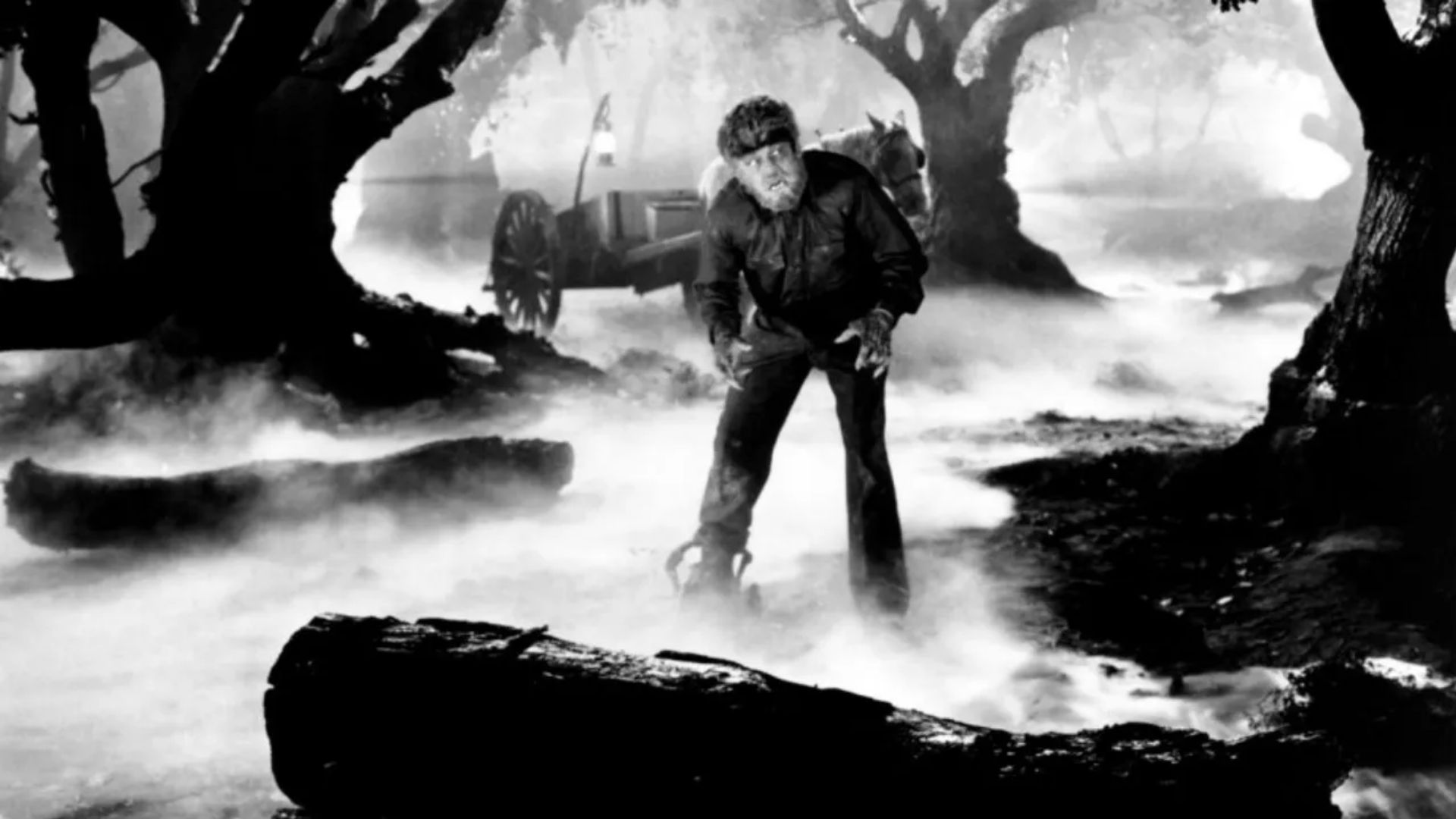 10 Essential Werewolf Movies, Ranked - FirstCuriosity