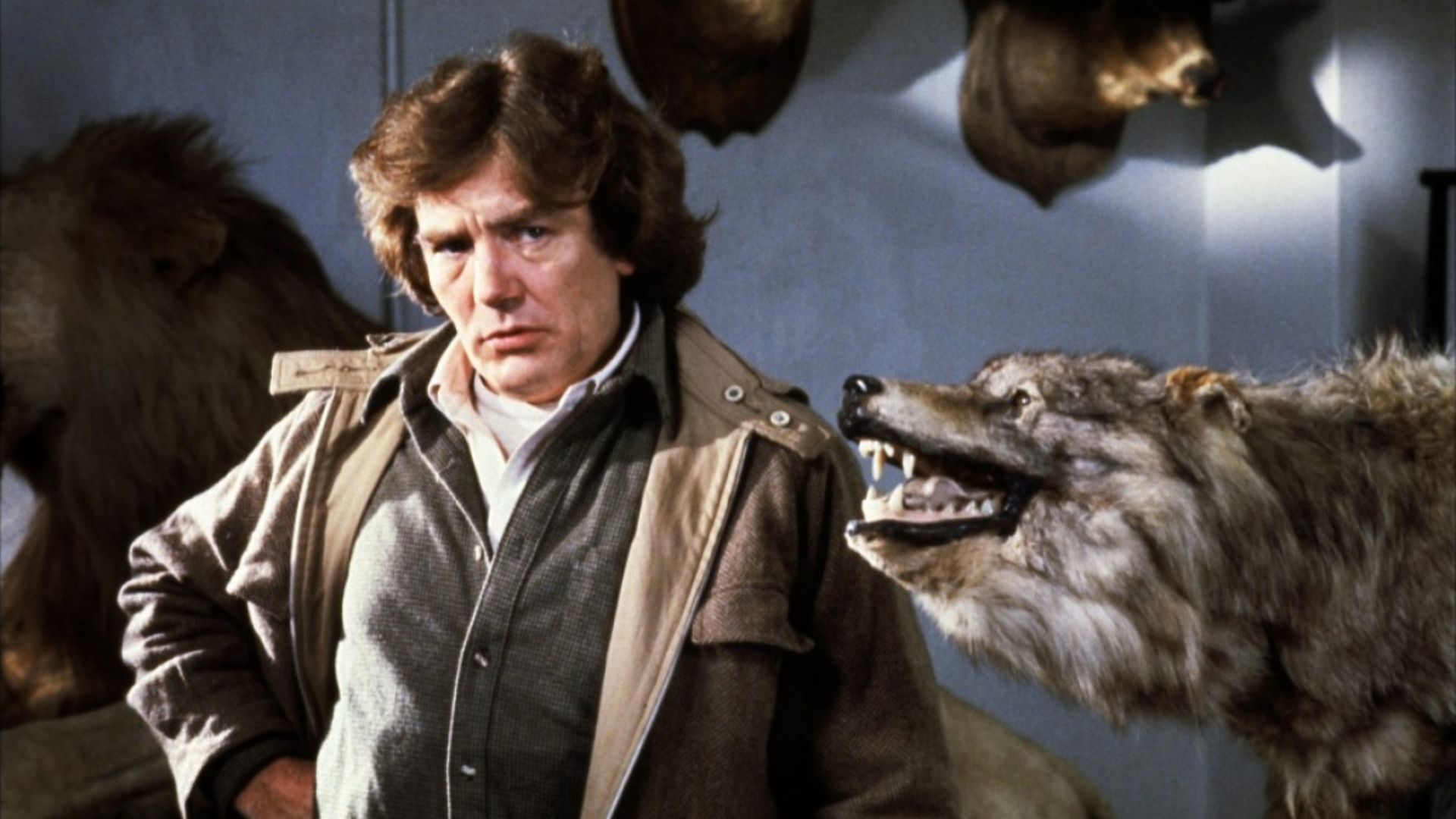 10 Essential Werewolf Movies, Ranked - FirstCuriosity