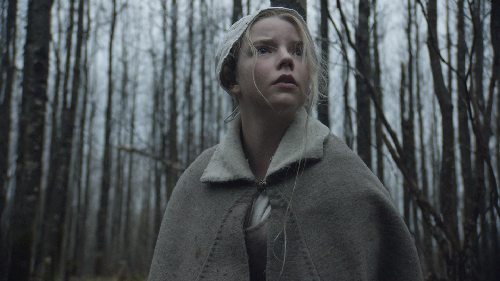 10 Scary Movies To Watch If You Love Witches - FirstCuriosity