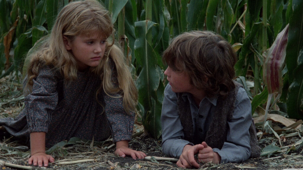 A Corn Harvest Stopped Sam Raimi From Directing This Horror Classic